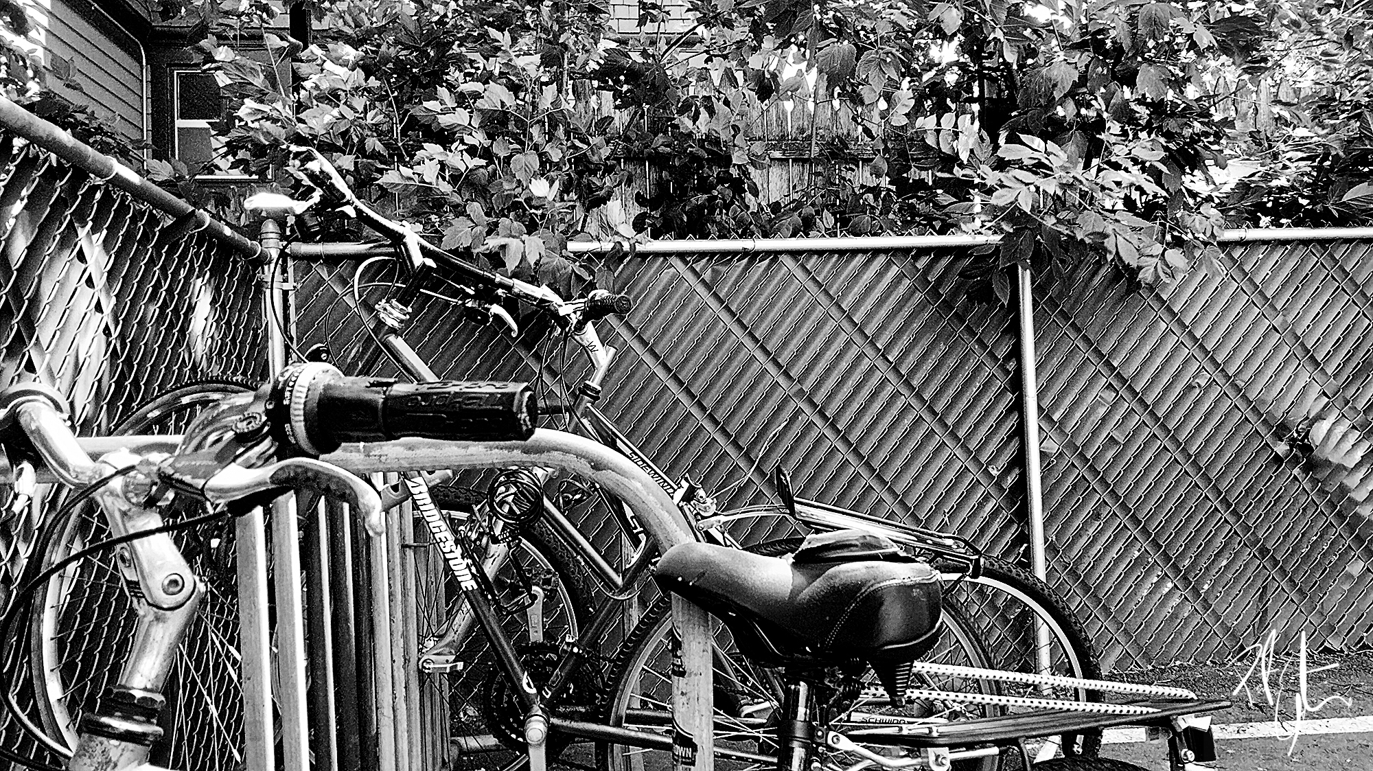 Bike Rack B&W 1 – epstein images