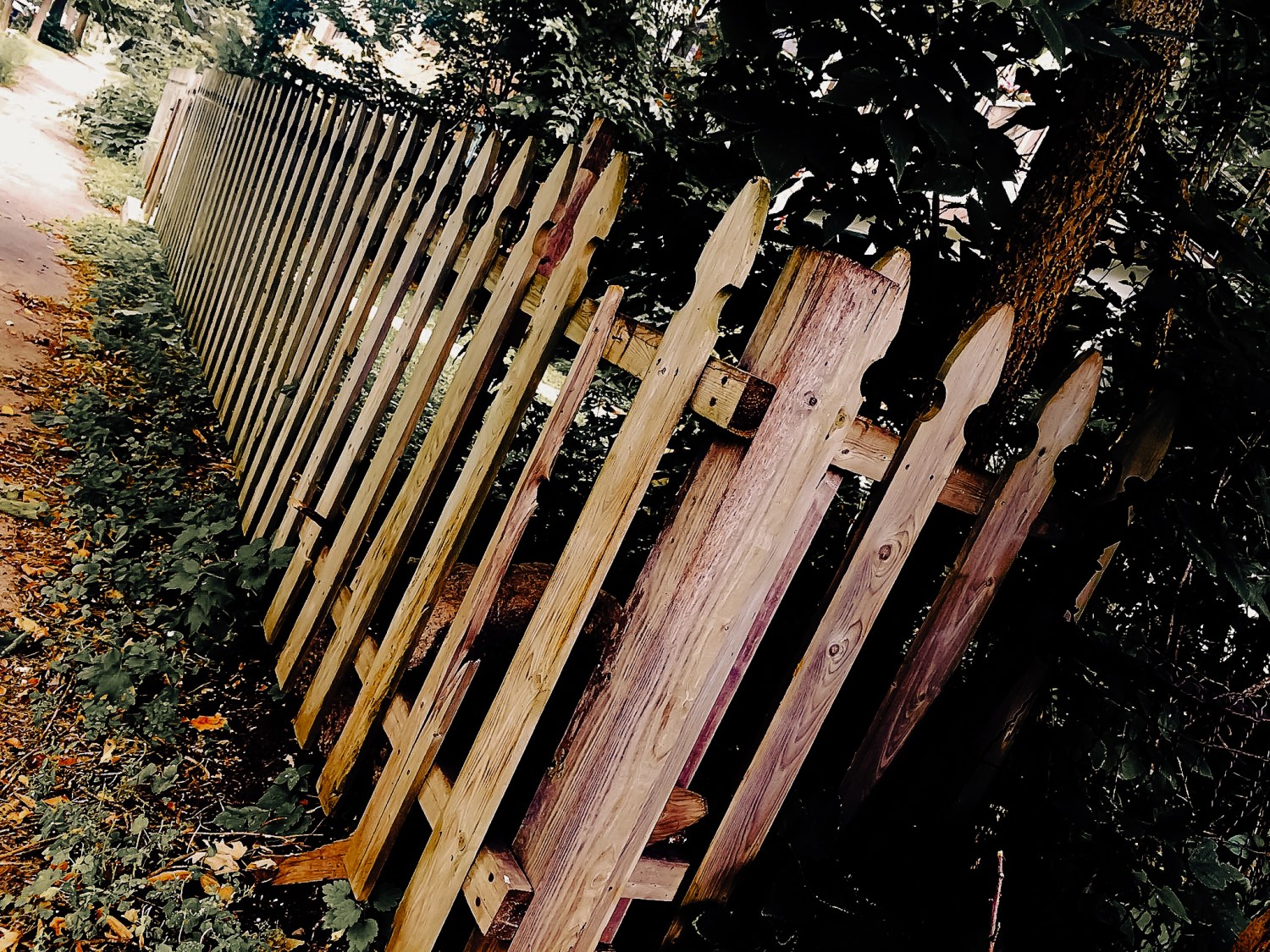 Lake Calhoun House Fence – epstein images