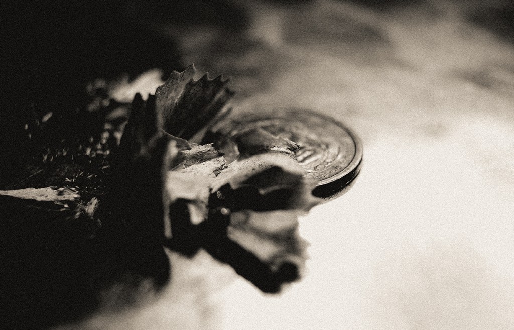 Pemcil Shaving Coin_WP – epstein images